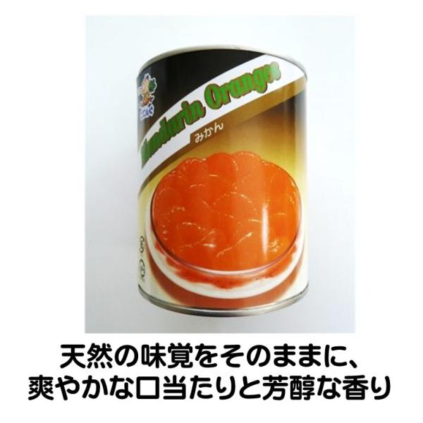 天狗缶詰 みかん 中国産 2号缶 固形量480g フルーツポンチ デザートに 業務用サイズ ミカン缶 みかん缶色、かたち、味にこだわり良質なもののみをお届けしています。天然の味覚をそのままに、爽やかな口当たりと芳醇な香りをのがさずパックしま...