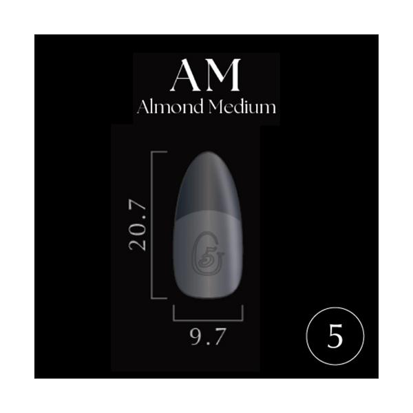 Ｎｏ．5大好評のGelipがリニューアル！装着感を感じさせないフィット感ソフトジェルのみでも装着が可能！ストレスポイントから爪先に向けて厚みが増し耐久性UP！ ジェルを塗布すると番号が消える！ 根元が薄くなりよりフィット感が増しました！※金...