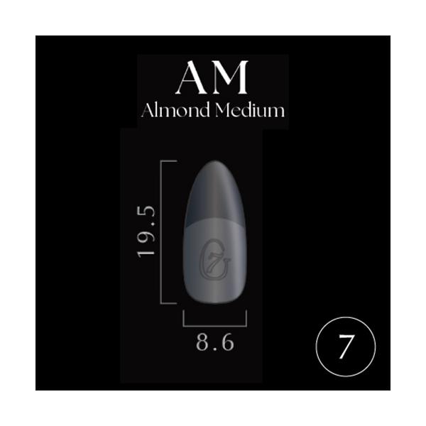 Ｎｏ．7大好評のGelipがリニューアル！装着感を感じさせないフィット感ソフトジェルのみでも装着が可能！ ストレスポイントから爪先に向けて厚みが増し耐久性UP！ ジェルを塗布すると番号が消える！ 根元が薄くなりよりフィット感が増しました！※...