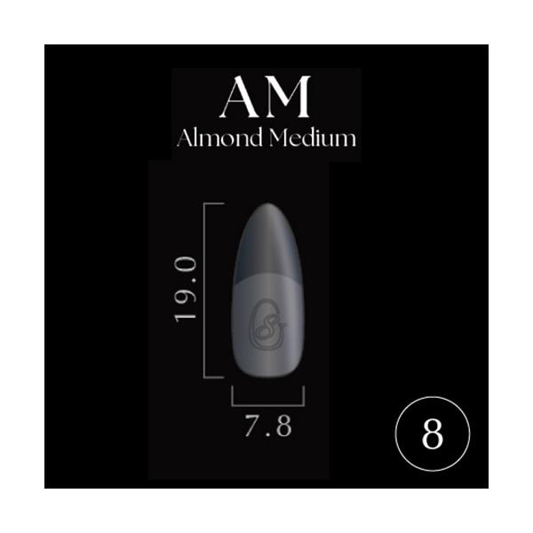 Ｎｏ．８大好評のGelipがリニューアル！装着感を感じさせないフィット感ソフトジェルのみでも装着が可能！ストレスポイントから爪先に向けて厚みが増し耐久性UP！ジェルを塗布すると番号が消える！根元が薄くなりよりフィット感が増しました！※金型変...