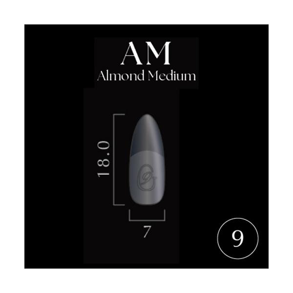 Ｎｏ．9大好評のGelipがリニューアル！装着感を感じさせないフィット感ソフトジェルのみでも装着が可能！ストレスポイントから爪先に向けて厚みが増し耐久性UP！ジェルを塗布すると番号が消える！根元が薄くなりよりフィット感が増しました！※金型変...