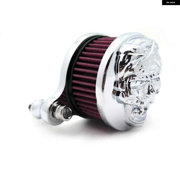 スカル エアクリーナー インテーク フィルター システム キット ハーレー スポーツスター XL883 XL1200 1988-2015 カスタム パーツ アクセサリーHign-concerned Chemical:NoneItem Wei...