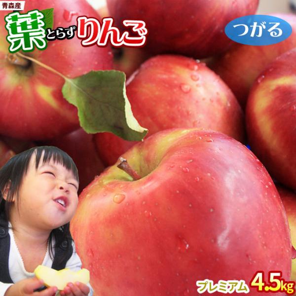 【発売日：2026年09月03日】大人気葉とらずりんご第1弾☆≪葉とらずつがる≫地元青森でもファンの多い品種★味が濃く、甘さだけじゃない爽やかな酸味もサッパリ！パッキパキのみずみずしい果肉！溢れるジューシーな果汁！初秋のりんごの中でも抜群に...