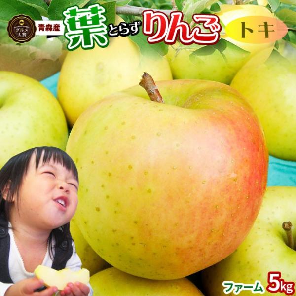 【発売日：2026年10月01日】≪完全数量限定販売≫ふじ以上の糖度を誇り希少高級品種！糖度はなんとふじ以上！さらに甘味を引き出す葉とらず栽培!!10月収穫予定のふじよりも早く楽しめる品種ながら、固い果肉のシャキシャキした食感と高い糖度、ジ...