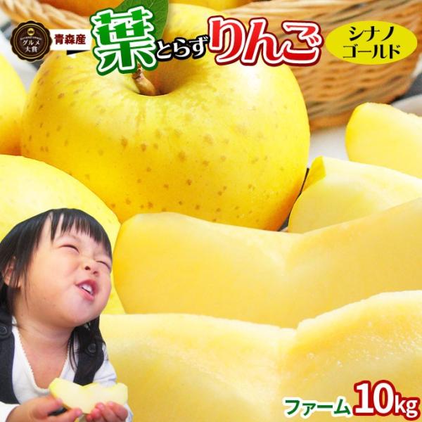 りんごの王様 ふじ 以上のパリパリ食感！糖度が高く、酸味もあるのでとてもサッパリとしつつも濃厚な味わい♪太陽の恵みをいっぱい詰め込んだ本当に美味しいりんごです！甘味製造工場である葉を摘まないで育てたことにより、有袋栽培のりんごと比べて約1....