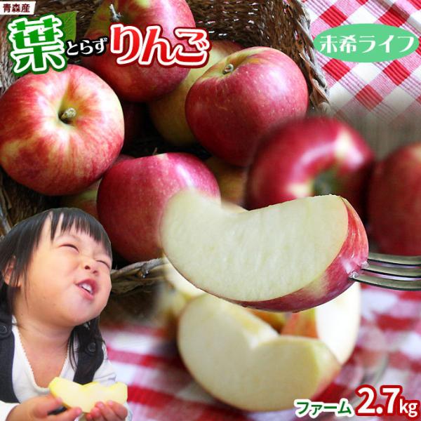 【発売日：2026年09月03日】≪数量限定≫ちょっと珍しいりんご「未希ライフ」登場！未希ライフは甘みも酸味もほどよい、さわやかな果汁が魅力の品種です♪歯ざわりはサクサク♪煮りんごにもオススメです！ゴールド農園の葉とらずりんご栽培でお届けし...