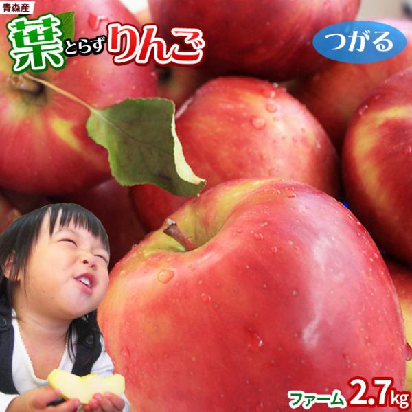 【発売日：2026年09月03日】グルメ大賞2010・2012・2015受賞☆大人気葉とらずりんご第1弾☆20万箱出荷≪葉とらずつがる≫地元青森でもファンの多い品種★味が濃く、甘さだけじゃない爽やかな酸味もサッパリ！パッキパキのみずみずしい...