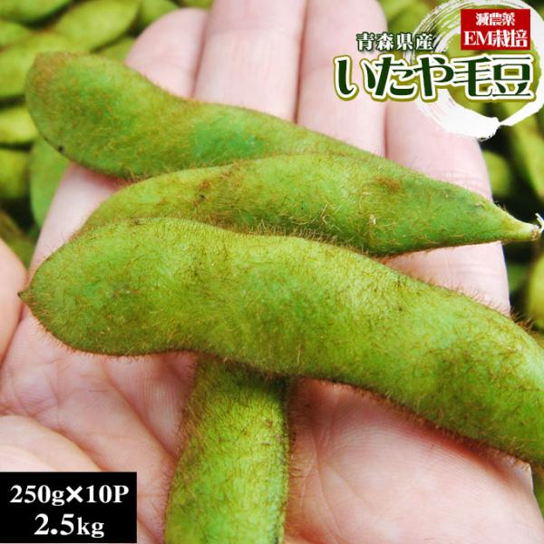【発売日：2026年09月24日】青森県津軽地方で古くから栽培されている農家自家用豆「毛豆(けまめ)」2.5kgセット！さやがちょっと毛深いこの枝豆、その甘みのある豊かな味わいゆえに門外不出の「幻の枝豆」とされてきました。減農薬！EM栽培！...