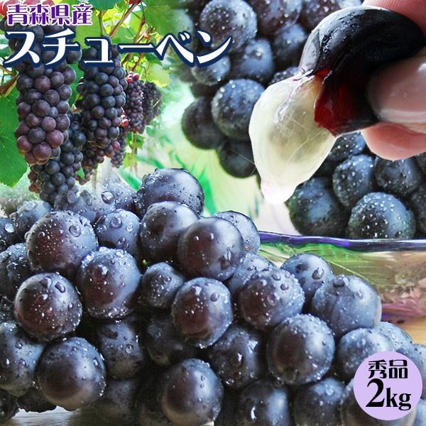 【発売日：2025年10月20日】当店一番人気ぶどう【青森県産スチューベン】は10月中旬のもぎたてから、甘さがさらにのる貯蔵便(2月頃まで)と長期間の出荷が可能な品種。青森県の寒冷な大地で育つため糖度は18度以上にもなり非常に甘いぶどう。ホ...