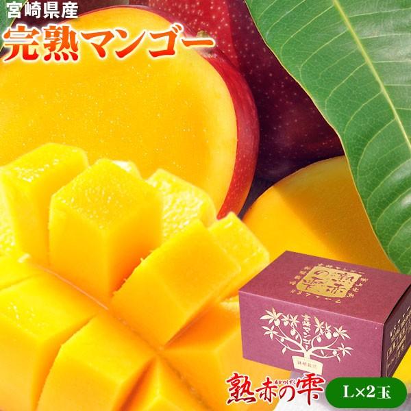 【発売日：2026年06月01日】宮崎県NSファームからお届けする完熟鉢植栽培マンゴー「熟赤の雫」ギフトに最適の秀品化粧箱入り。最高級の味わい、あま〜い極旨果実をご堪能いただける逸品!■商品内容：宮崎県産マンゴー 熟赤の雫Lサイズ×2玉(計...
