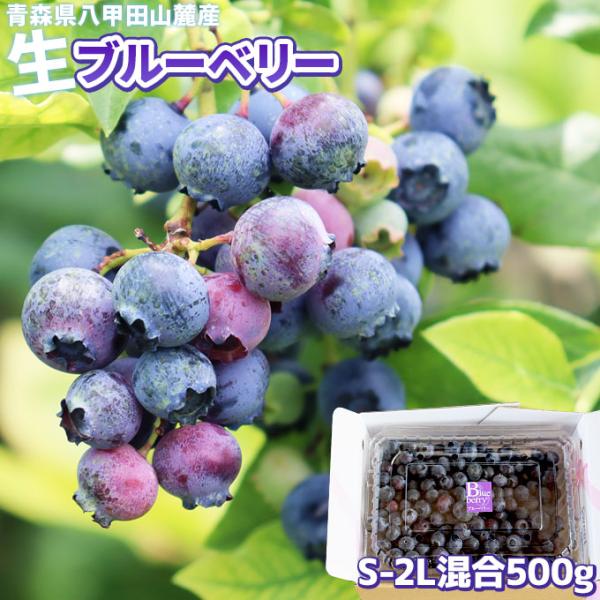【発売日：2026年08月01日】■お届け商品：青森県八甲田山麓産ブルーベリー■規格：S-2L混合500g■生産者：青森観光りんご園■配送方法：冷蔵便■送料：無料■同梱：当店他商品との同梱不可（ブルーベリーは2箱まで同梱可）