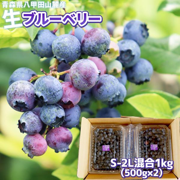 【発売日：2026年08月01日】■お届け商品：青森県八甲田山麓産ブルーベリー■規格：S-2L混合1kg（500g×2）■生産者：青森観光りんご園■配送方法：冷蔵便■送料：無料■同梱：当店他商品との同梱不可（ブルーベリーは2箱まで同梱可）