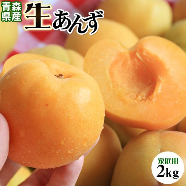 【発売日：2026年07月01日】名産地青森県南部町とれたて生あんず！あまり馴染みはないかもしれませんが、新鮮な生のあんずって美味しいんです！まとめてアプリコットジャムやシロップ漬けにしてもGood！お砂糖をかけて7〜9分くらいチンすると、...