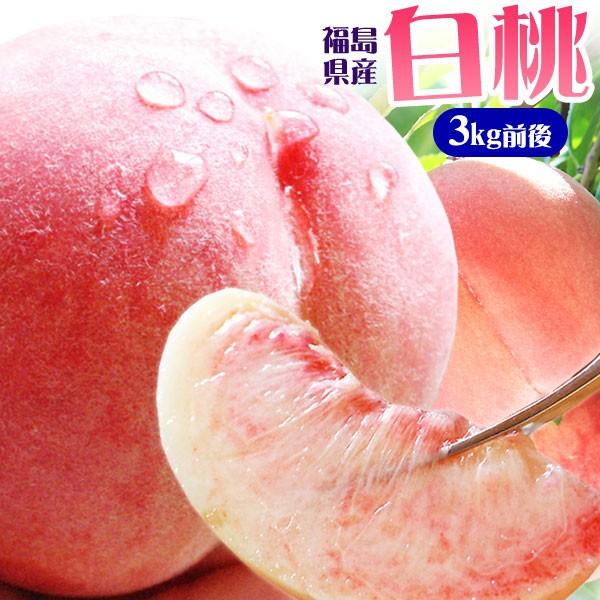 【発売日：2026年07月01日】福島県から産地直送！【ふくしま土壌ネットワーク】 安心・安全に真摯に取り組む｛桃の力｝プロジェクト！夏の福島盆地特有の昼夜の気温差が桃の甘さ・旨みをギュッと凝縮させ余分な水分の無い緻密な果肉の桃に。『適熟収...