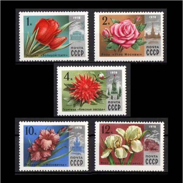 MNH (Mint Never Hinged)新品未使用・ヒンジ跡なし