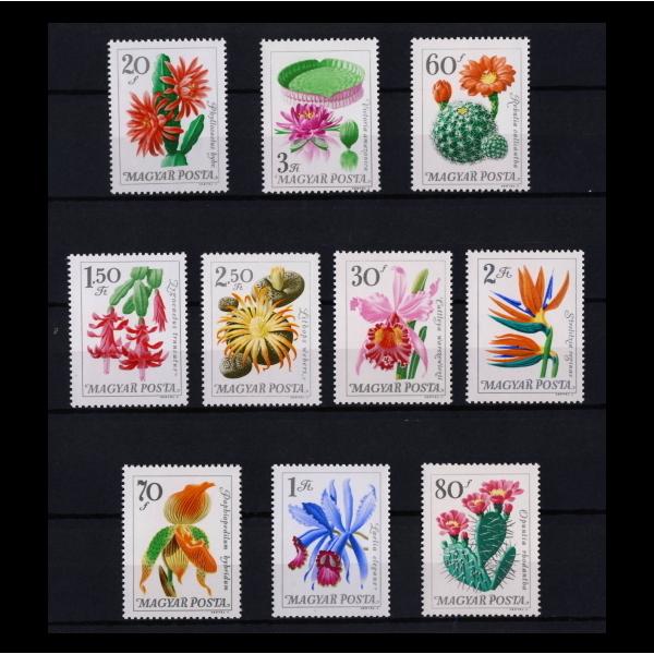 MNH (Mint Never Hinged)新品未使用・ヒンジ跡なし
