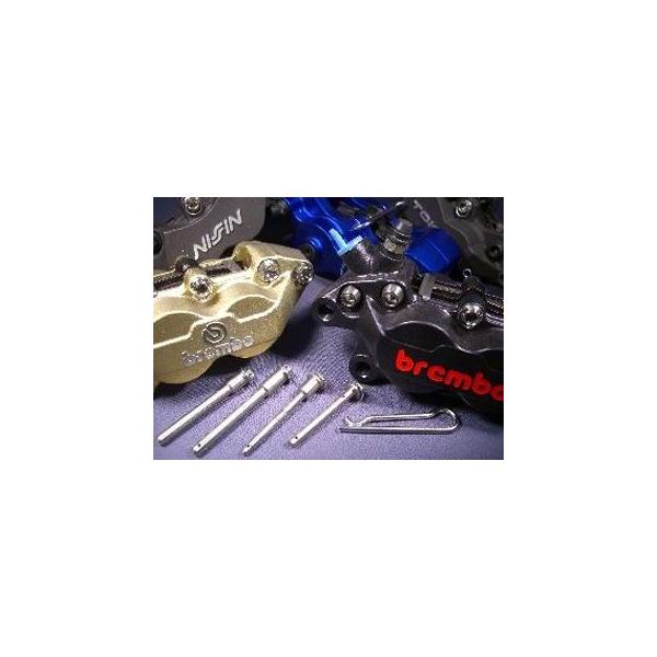 ●メーカー名：プラスミュー / PLUSμ●商品名：クイックリリースピン PQP-AP01メーカー品番：PQP-AP01汎用 2ピン入りプラスミュー クイックリリースピンは、ステン削りだしのキャリパーパッドピンです。耐久レース等でパッドが素...