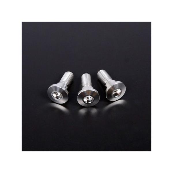 ●メーカー名：ジータ / ZETA●商品名：チタン ブレーキディスクボルト シンヘッド φ10-M8×20（1本）メーカー品番：D6869JANコード：4547836202926汎用 メーカー品番：ZT10-3741入数1本サイズd：M8 ...