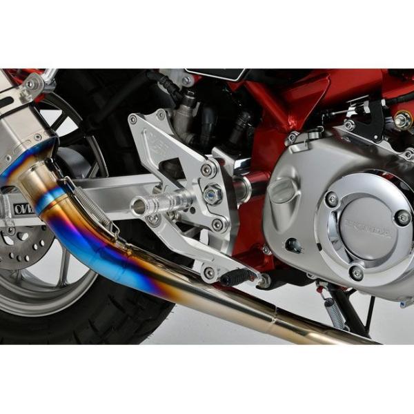 ●メーカー名：オーバーレーシング / OVER RACING●商品名：Monkey125 バックステップ（シルバー）メーカー品番：・51-012-01JANコード：4539770118173MONKEY125 モンキー125シルバー4ポジシ...