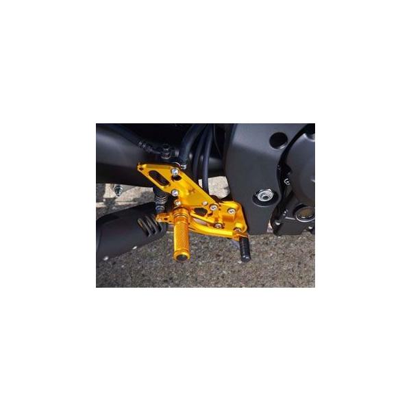 ●メーカー名：ベビーフェイス / BABYFACE●商品名：バックステップキット●仕様：ノーマルパターン カラー：ゴールドメーカー品番：002-Y011GDbJANコード：4589981465238FAZER 8（FZ8S） フェザー8FZ...