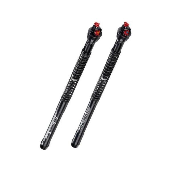 ●メーカー名：ビチューボ / bitubo●商品名：フロント ショック YAMAHA ｜ Y0149ECH29メーカー品番：btb_Y0149ECH29YZF-R1YZF-R1M商品：Y0149ECH29ECH29 Series Fork ...