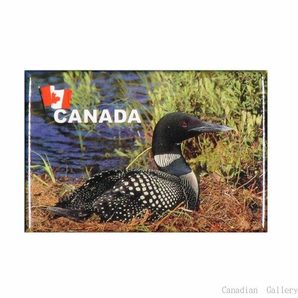 CANADA ルーン(アビ) マグネット