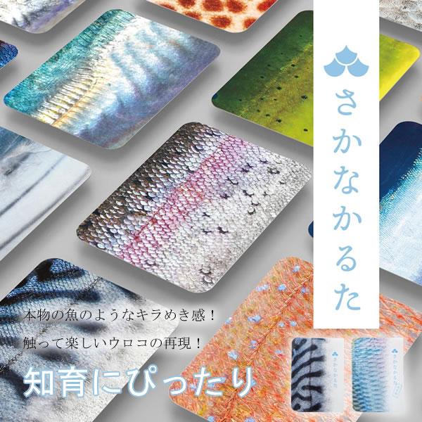【商品詳細】商品名：さかなかるた商品説明：魚の表皮（模様や色）のみで、どの魚かを当てるかるたです。日常では見ることのない魚の模様や鮮やかな色彩、魚が光を反射する時のキラキラ感やウロコの凹凸を特殊な印刷技術で再現しています。視力が悪いお年寄り...