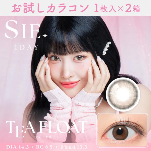 ■販売名：SIE.ワンデー59 / PVワンデー59%  ■使用期限：開封後1日  ■カラー：TEA FLOAT - ティーフロート（ブラウン)■販売度数：±0.00（度なし）  -0.50~-5.00（0.25単位）  -5.50~-10...