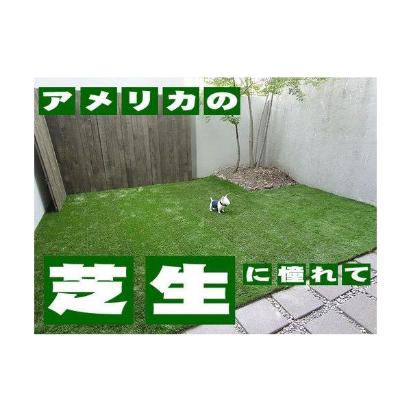 私の夢みたアメリカの庭になりました！この人工芝、メチャクチャリアルに見えるでしょ！その秘密は3色の葉っぱで作られているからなんです。枯れた芝まで入ってるからね！いやー　すばらしい人工芝でもこれだけリアルだと気持ちいいね！しかも水やり不要！年...