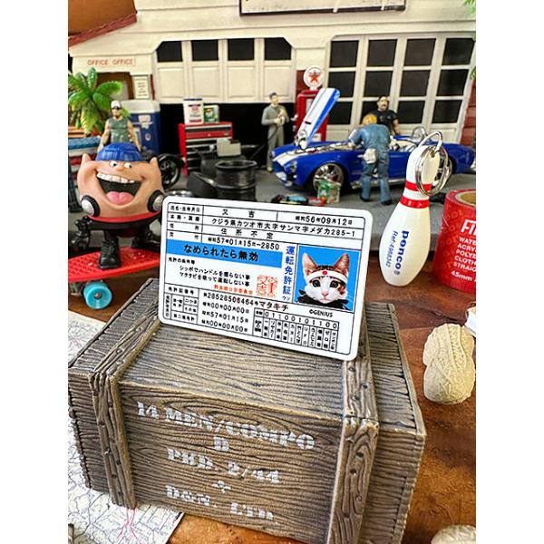 昭和世代には懐かしすぎるあの猫と再会！80年代に空前の大ブームを巻き起こした「なめんなよ」通称「なめ猫」が、令和の時代にリバイバル！ブームの発端は当時のOLたちらしくツッパリコスチュームを着た可愛い猫たちの写真集が飛ぶように売れたのがきっか...