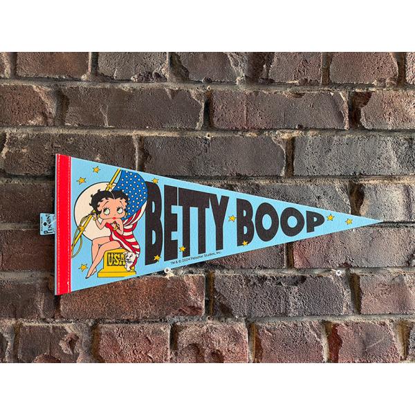 その昔 アメリカ人の旅行のおみやげの定番アイテムが各地の名所が描かれたペナントでした。今では当時のペナントがヴィンテージ市場に出回ってコレクターたちに高値で取引されたりしてます。そんな懐かしいペナントを企業キャラでリバイバルしたっていうアメ...