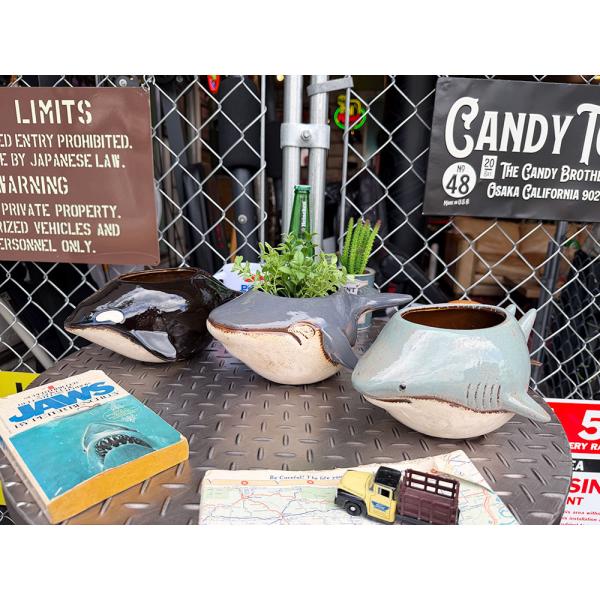 シャーク クジラ シャチ “海の三大スター” がそろった陶器製プランター3個セットが登場です。シャークはキリッと男前クジラはぽてっと癒し系 シャチはツヤっと高級感と…それぞれ個性が爆発しているのに 3つ並べると妙に愛嬌があって机や棚が一気に...