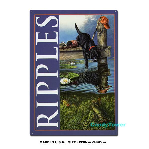 のんびりと日向ぼっこを楽しんでたら目の前の釣り竿が突然グイッと動き出した。慌てて駆け寄るお利口さんのレトリバーくん。どうやら獲物が食らいついたよう！坊やはどこ行ったんだよ〜　ワンワン！このままじゃ逃げられちゃう！とばかりに水面まで近づいてジ...