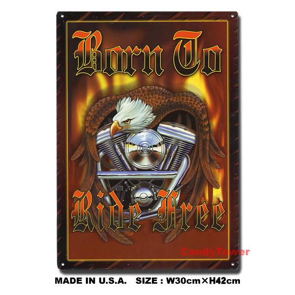 アメリカハクトウワシはアメリカの国鳥なんですよぅ〜。バイクのエンジンを抱えこんだアメリカハクトウワシのこの鋭い目つき！まるでパワー＆スピードを求めているライダーのような感じしませんかぁ？マッスルアメリカンバイクにまたがったら、アナタだってこ...