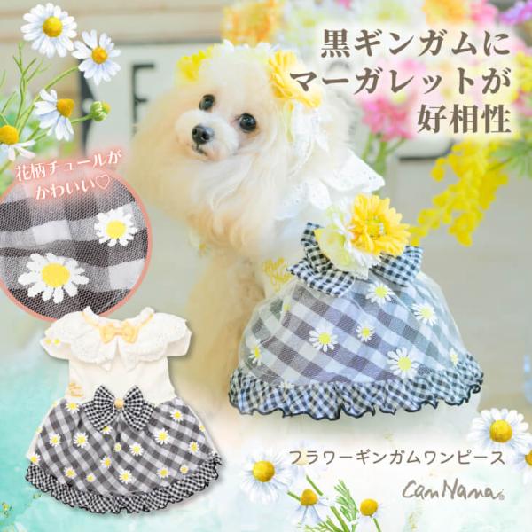 1154 フラワーギンガムワンピースレースとフリルにお花が咲いてかわいいが満開首まわりの大きめレースでお顔まわりを可愛く華やかに。スカートはギンガムチェックと花柄チュール、オーガンジーの裏地と３枚仕立てで、ボリューミーなスタイリング。カラー...