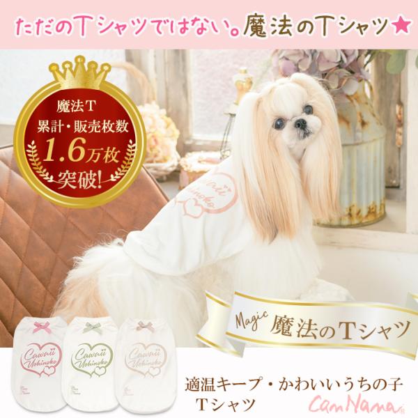 魔法のＴシャツ★1096適温キープ・かわいいうちの子Ｔシャツ“かわいいうちのコ”が着る“Cawaii Utinoco Tシャツ”　。再認識して、思わずギュッとしたくなるプリントデザインです。夏は熱がこもらないように、冬は熱を外に逃がさないよ...