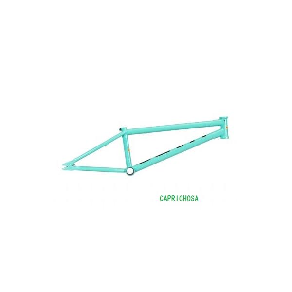 HARO LA BASTILL V2 FRAME 20.25 / SEA FORMGREENSPECMathias Dandois signature frameFull 4130 chromoly with double-butted t...