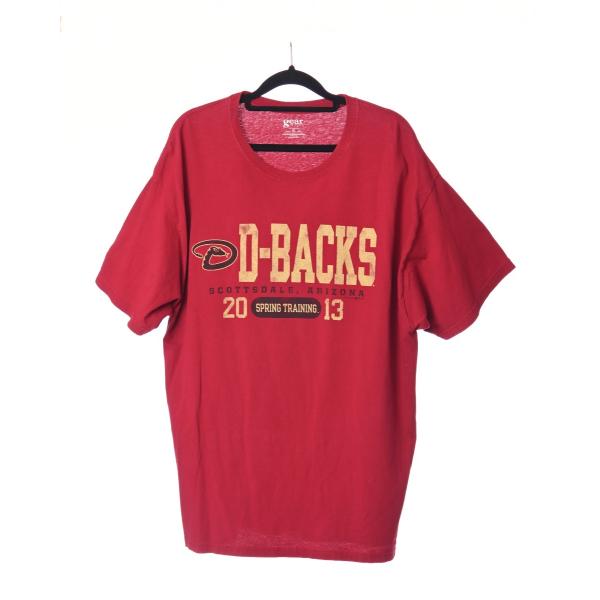 アリゾナ・ダイヤモンドバックス（英語: Arizona Diamondbacks、略称: AZ）は、メジャーリーグベースボールナショナルリーグ西地区所属のプロ野球チーム。本拠地はアリゾナ州フェニックスにあるチェイス・フィールド。2013年の...