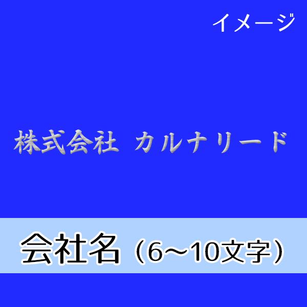 制服には欠かせない、ネーム刺繍。書体は漢字・ひらがな・カタカナでは楷書体/ゴシック体、アルファベットでは筆記体/ブロック体をお選びいただけます。一文字の大きさは約1.2cmです。ご注文方法：書体・カラー・位置をお選びいただいた後、「刺繍内容...
