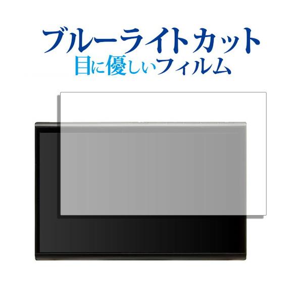 DENSO TEN ECLIPSE DAV-DS01F 10.1型 ディスプレイオーディオ 液晶保護 フィルム ブルーライトカット 反射防止 保護フィルム 指紋防止 メール便送料無料 ポイント消化 互換品 爆買