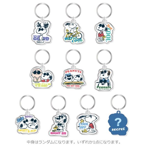 ［商品仕様］【サイズ】約H80×W46×D3mm以内パッケージ：約H78×W70mm【素材】アクリル【重量】約9g【種類】全10種【内容】1個【対象年齢】6才以上【原産国】中国［特記事項］※You can not choose which ...