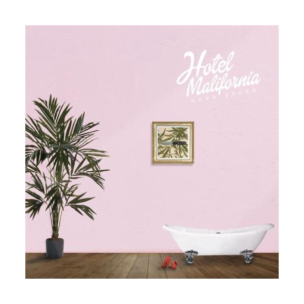 20歳にして早くも3枚目のアルバム。旭川が生んだニューヒッピー、GOKU GREENの新作は鎖GROUPとタッグを組むことによりさらに進化。CHILLでUP IN THE SKYな極上の空間、それはまさに"HOTEL MALIFORNIA"...