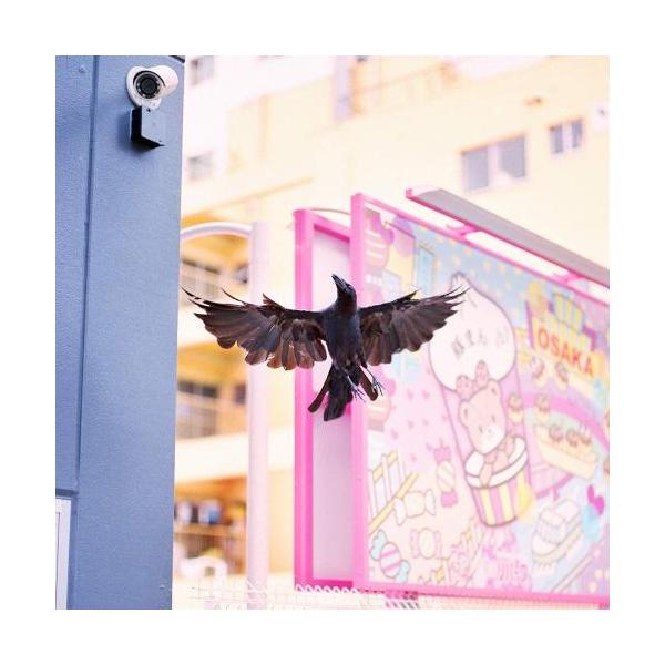 客演には粗悪興業メンバーであるDekishi、Onnenを始め、Minchanbaby、入江陽、Dodo。初共演となる徳利、Young Celeb Sicala、Jin Dogg、NALLY、SAINT MELO、TENG GANG STA...