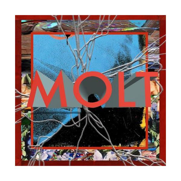 HIYADAM、JP THE WAVY、Weny Dacillo、Yo-Seaら今、日本語ラップ・シーン内で勢いのある若手ラッパー/アーティストたちがリンクし、新たに形成された集合体!※初回限定CD特典付き!!■「Normcore Boyz...