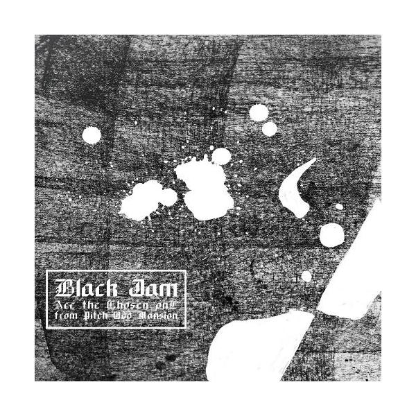 Pitch Odd Mansionメンバーの一人として最初期から活動!一際ドスの効いた声とウェストコーストマナーな太いビートが絡み合う一枚!!【TRACK LIST】1. One Turn Kill2. Made You Look3. Ep...