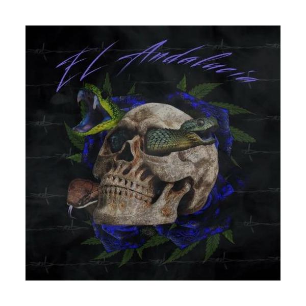 東京は下町・新小岩をREPするラッパー・O-JEE!全曲に渡り岡山はPGPのDJ KAJIによるproduce メキシコからNISHIKI、岡山からJ-REXXXも参加!【TRACK LIST】1.Quinto Avenue feat DJ...