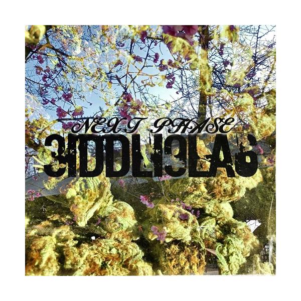 2ND ALBUM NEXT PHASEを引っ提げて3IDDLI9LA6 comebaaaack!!今回の作品も雷鳥とDJ TREの2人のみで作り上げた作品。【TRACK LIST】1.INTRO2.TICK TACK3.STONER4.言...