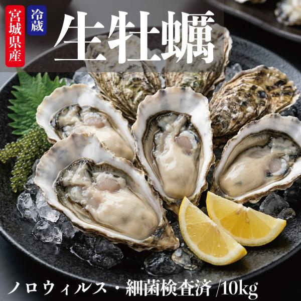 宮城県産　冷蔵殻付生牡蠣 10kg賞味期限 　4日(出荷日を含む）保存方法 　冷蔵（5℃以下）大きさ無選別のため個数はばらつきがあります1kg当たり5-15個入り