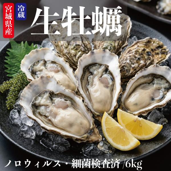 宮城県産　冷蔵殻付生牡蠣 6kg賞味期限 　4日(出荷日を含む）保存方法 　冷蔵（5℃以下）大きさ無選別のため個数はばらつきがあります1kg当たり5-15個入り