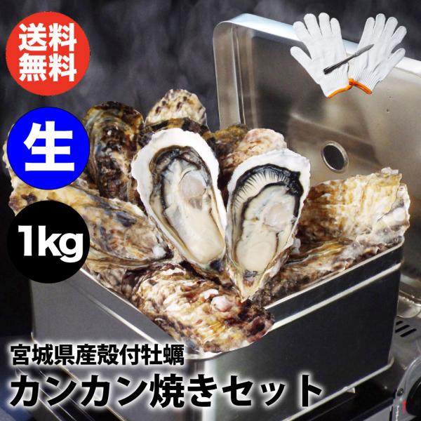 カンカン焼きセット 生 牡蠣 1kg  無選別 送料無料 宮城県産 BBQ カキ